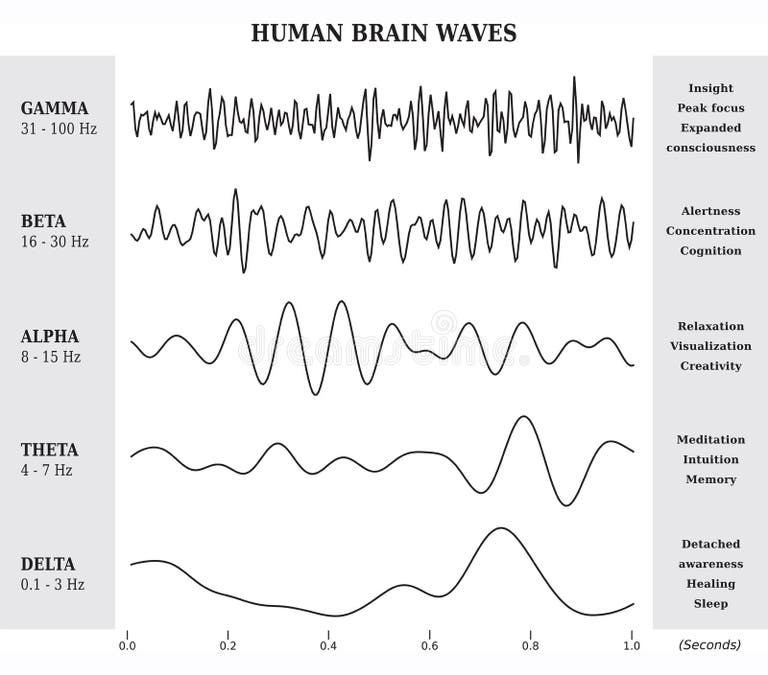 Brain Waves Stock Illustrations – 4,530 Brain Waves Stock Illustrations ...