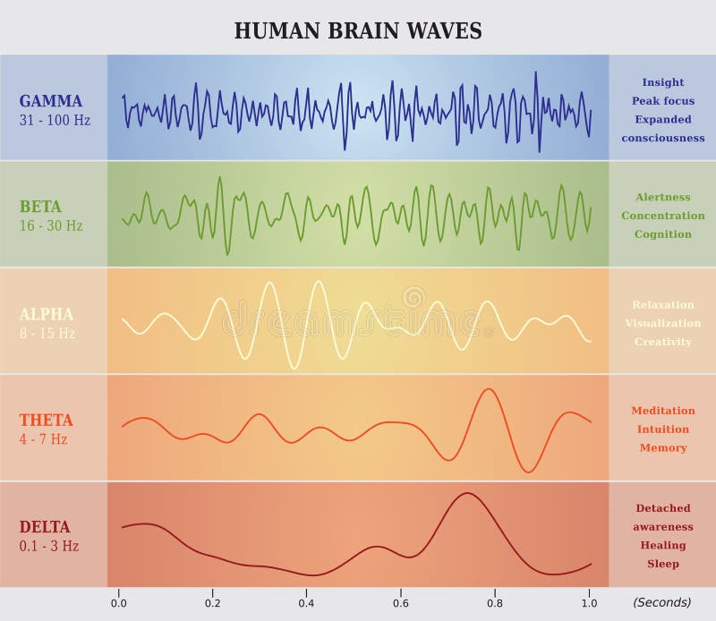 Brain Waves Stock Illustrations – 3,489 Brain Waves Stock Illustrations ... Brain Waves Stock Illustrations – 3,489 Brain Waves Stock Illustrations ...