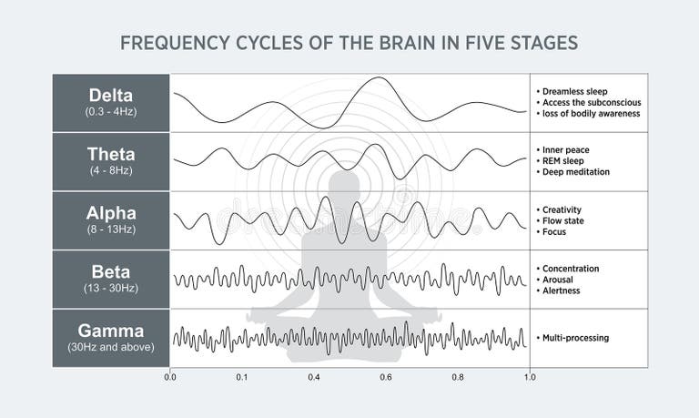 Alpha Beta Delta Gamma Theta Brain Waves Stock Illustrations 24 Alpha