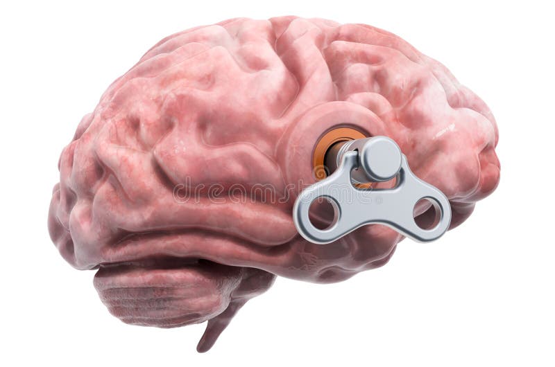 Human Brain with Wind-up Key. Treatment and Recovery Concept Stock ...