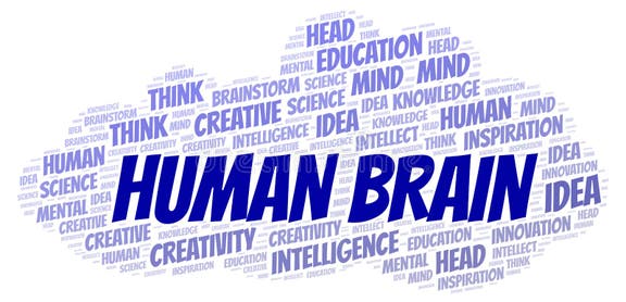 Human Brain word cloud stock illustration. Illustration of intellect ...
