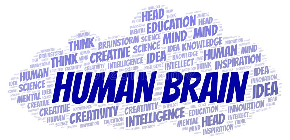 Human Brain word cloud stock illustration. Illustration of intellect ...