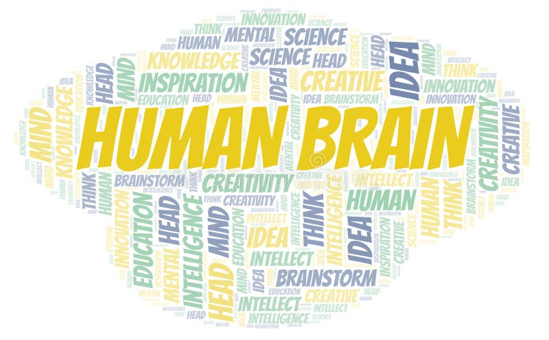 Human Brain word cloud stock illustration. Illustration of intellect ...