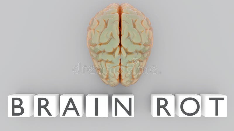 A Human Brain and Words "BRAIN ROT" Stock Illustration - Illustration ...