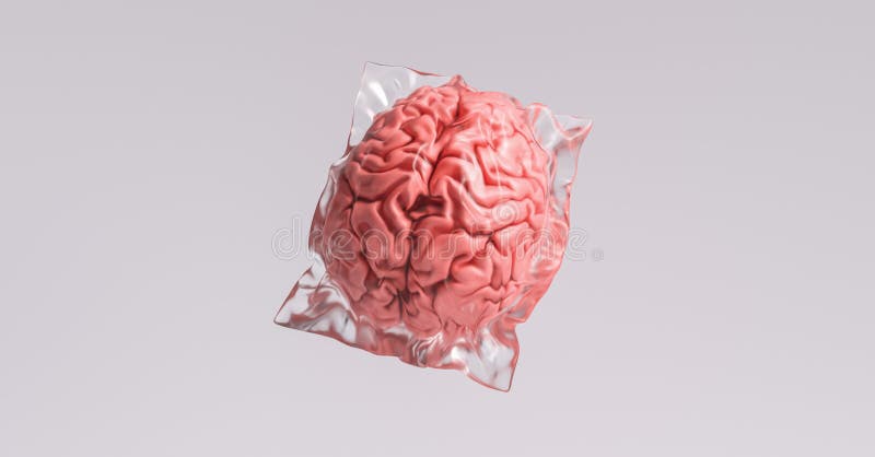 Human Brain Wrapped in Shrink Wrap As a Plastic Waste and Medical ...