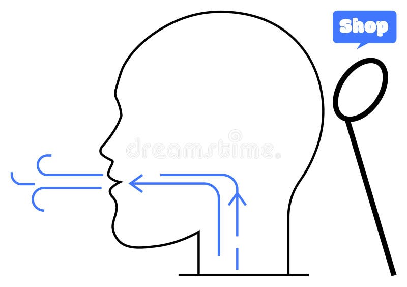 Human Breath Pathway with Visual Representation of Airflow Stock Vector ...