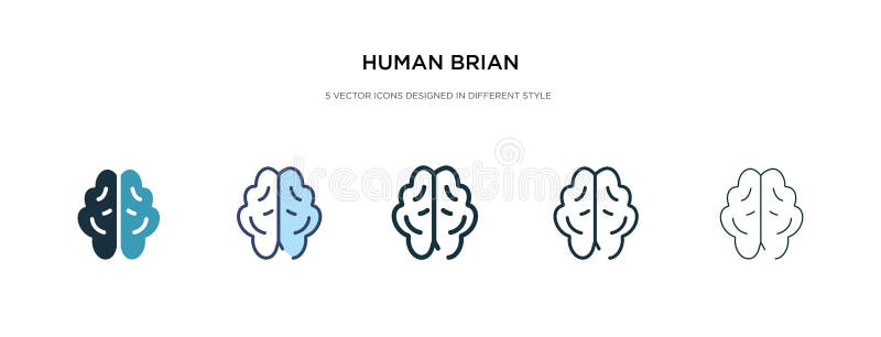 Human Brian Icon in Different Style Vector Illustration. Two Colored ...