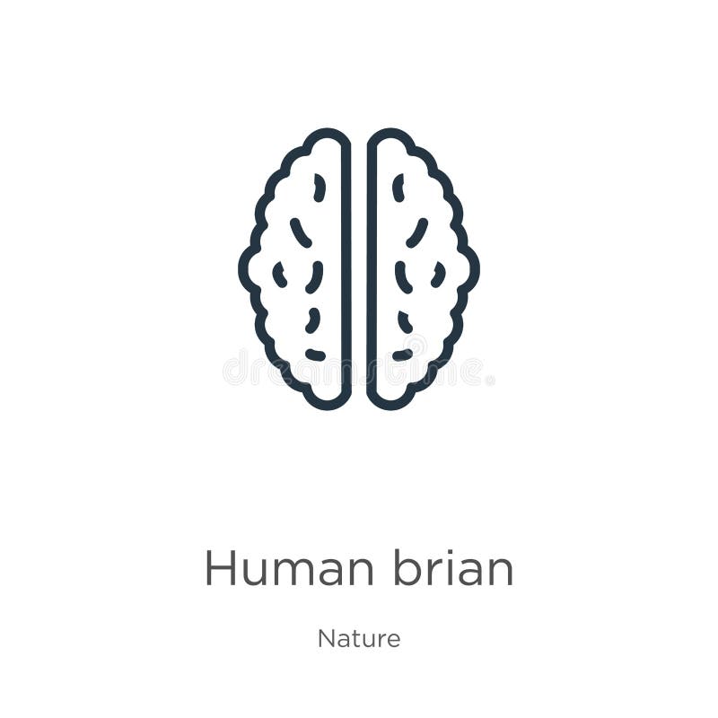 Brian Stock Illustrations – 2,226 Brian Stock Illustrations, Vectors ...