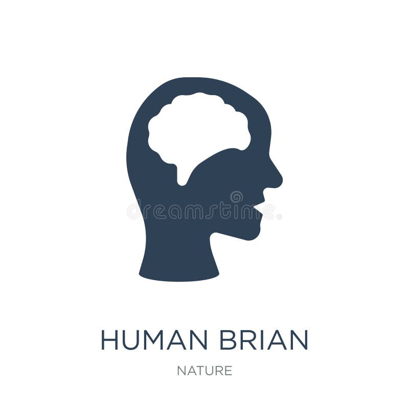 Human Brian Icon in Trendy Design Style. Human Brian Icon Isolated on ...