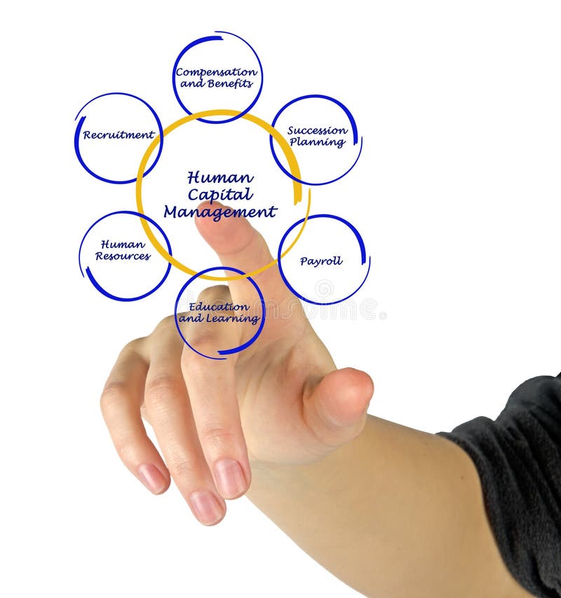 Diagram of Human Capital stock photo. Image of male, diagram - 85649740