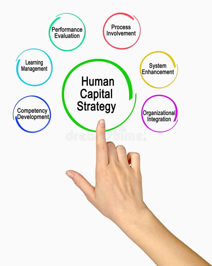Human Capital Strategy stock photo. Image of pointing - 134488242