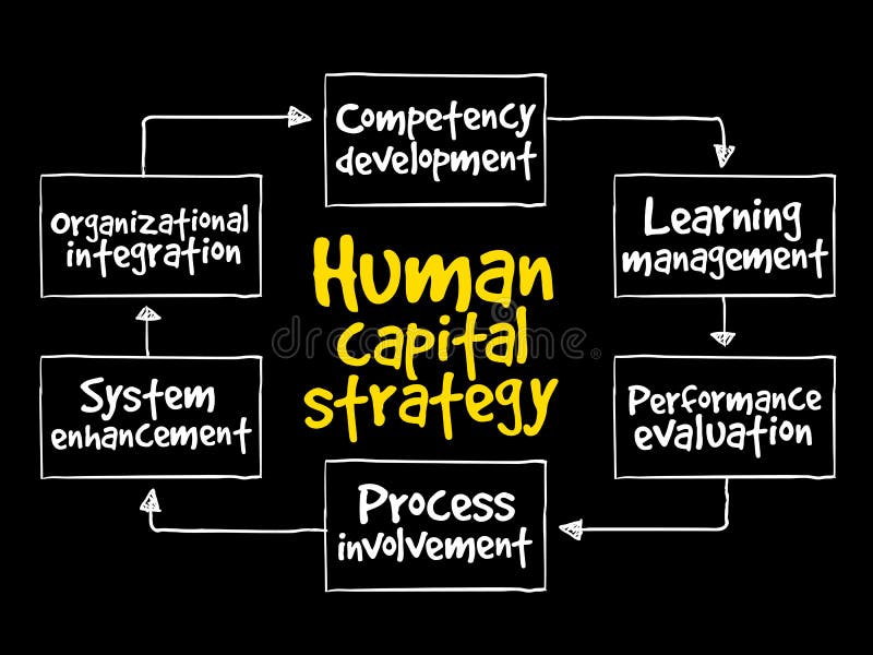 Human Capital Strategy Mind Map Stock Illustration - Illustration of ...