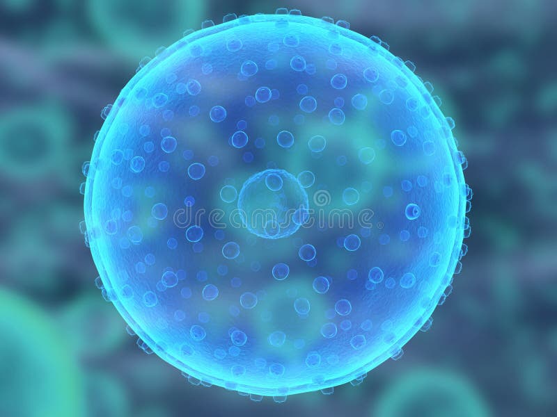 Real Life Human Cell