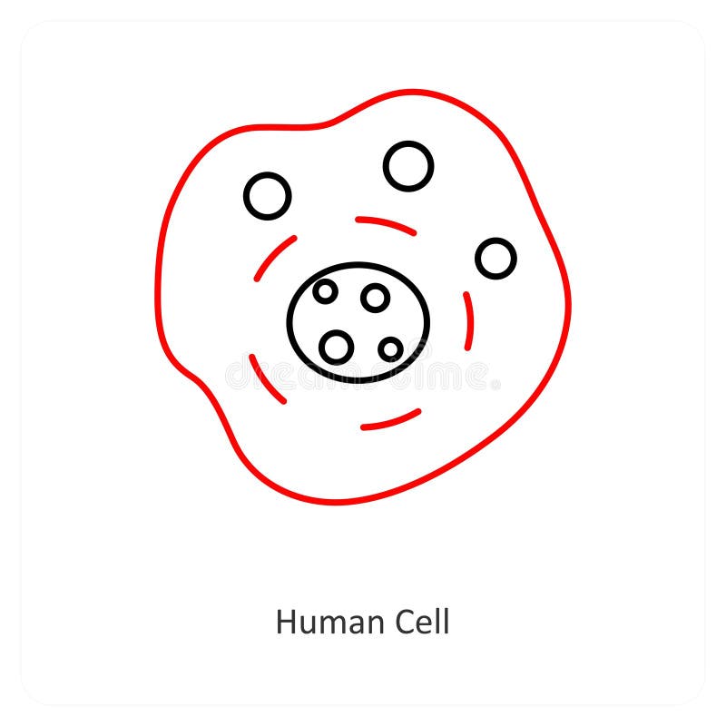 Human Cell stock illustration. Illustration of vector - 338190920
