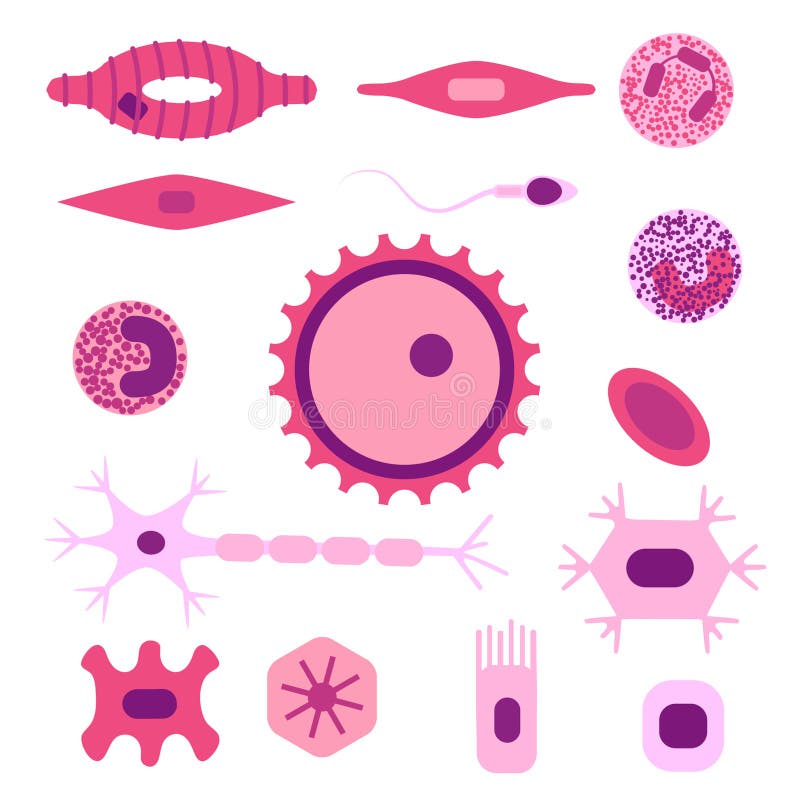 Body Cell Icon Stock Illustrations – 8,775 Body Cell Icon Stock ...