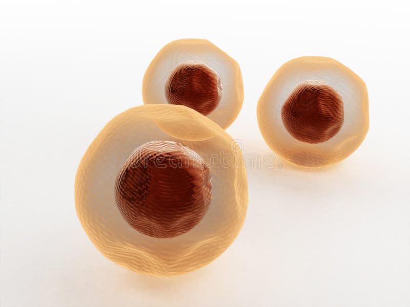 Core cell stock illustration. Illustration of body, laboratory - 33702463