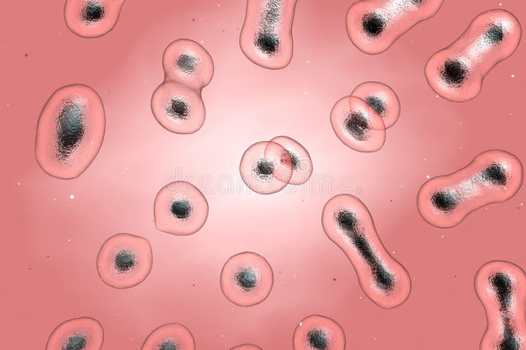 Pink Human Stem Cells Stock Illustrations – 104 Pink Human Stem Cells ...