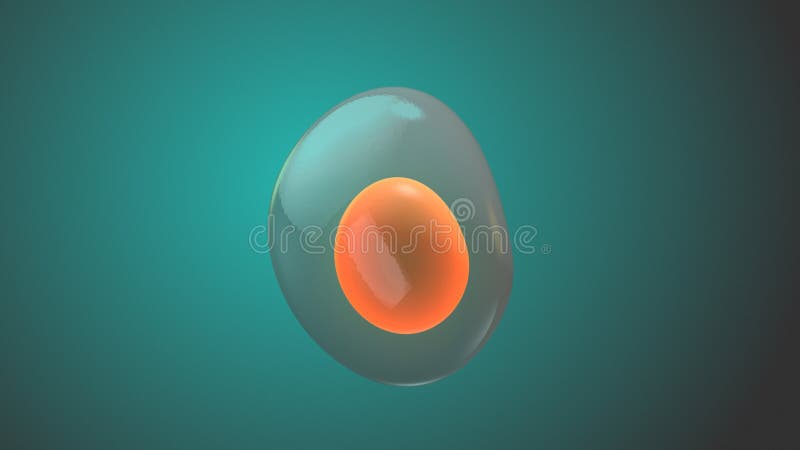 Human Cell or Embryonic Stem Cell Stock Illustration - Illustration of ...