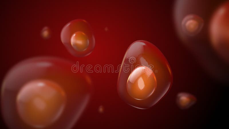 Human Cell or Embryonic Stem Cell Stock Illustration - Illustration of ...