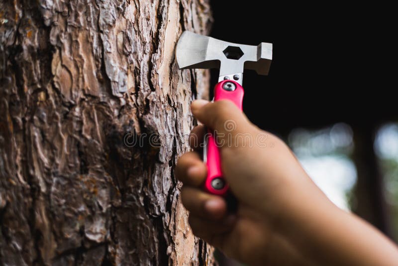 Human Chopping Pine Tree With Mini Axe Stock Photo - Image of tree ...