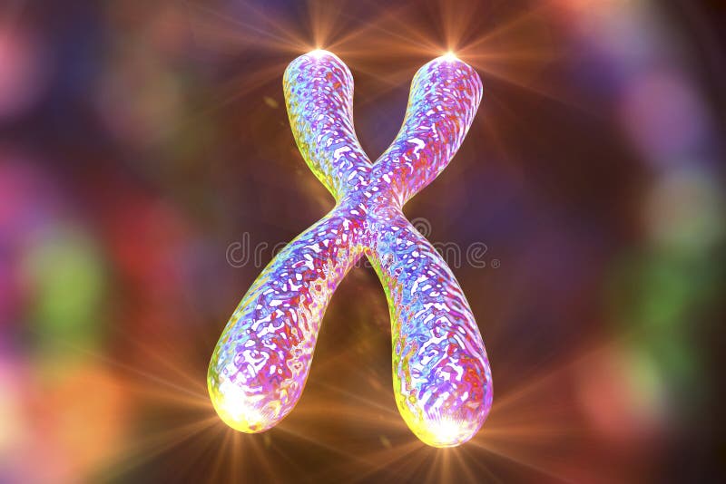 Human Telomeres Shortening. Cellular Level of Aging Stock Vector ... Human Telomeres Shortening. Cellular Level of Aging Stock Vector ...