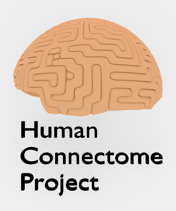 Human Connectome Project Concept Stock Illustration - Illustration of ...