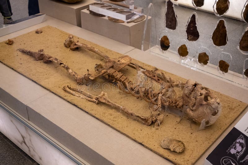 Human Corpse Skeleton Exhibited in Egypt, Possibly Uncovered in Pyramid ...