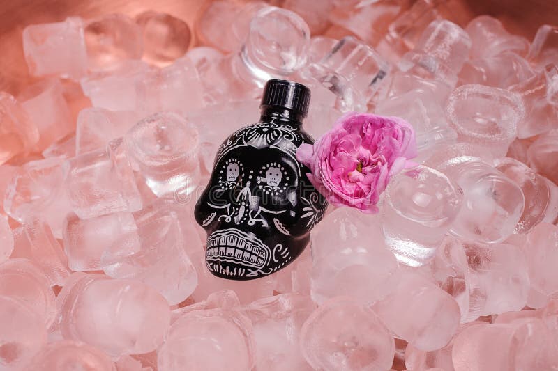 Human Crystal Head Skull Black Bottle on Ice with Rose Stock Photo ...