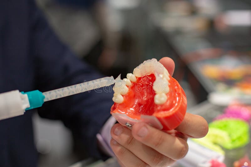 Human Dentist Practicing Work on Tooth Model Stock Image - Image of ...