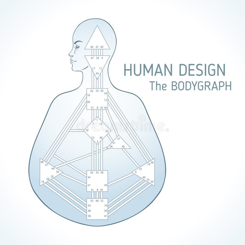 Human Design Bodygraph Chart Design. Vector Isolated Illustration Stock ...