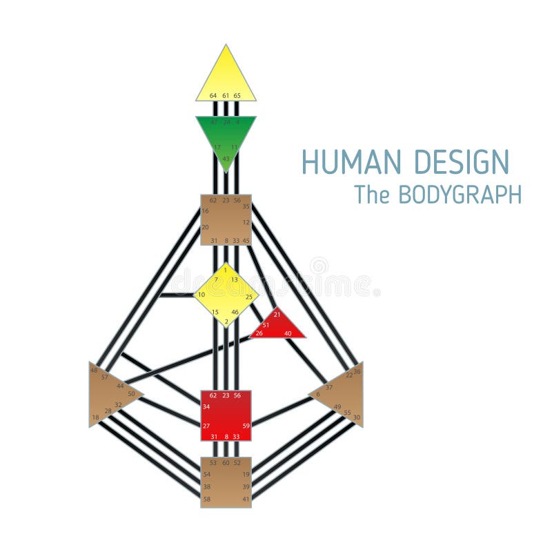Human Design Bodygraph Chart Design. Vector Isolated Illustration Stock ...