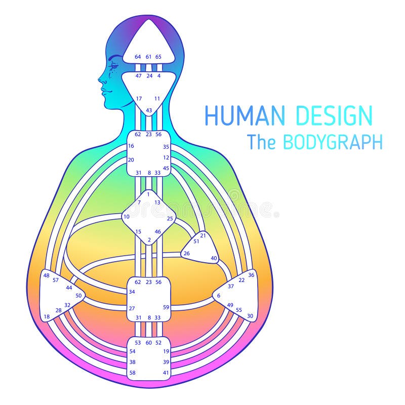 Human Design Bodygraph Chart Design. Vector Isolated Illustration Stock ...