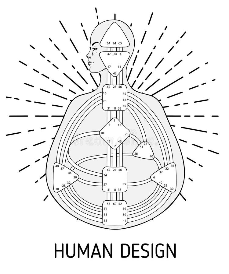 Human Design Bodygraph Chart Design. Vector Isolated Illustration Stock ... Human Design Bodygraph Chart Design. Vector Isolated Illustration Stock ...