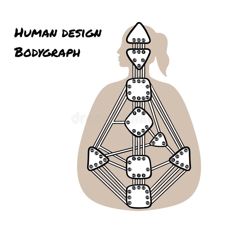 Human Design Bodygraph Chart Design. Vector Isolated Illustration Stock ... Human Design Bodygraph Chart Design. Vector Isolated Illustration Stock ...