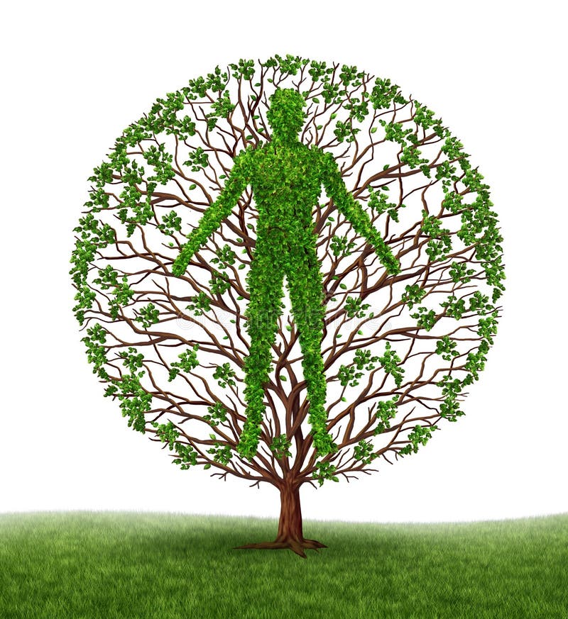 5+ Human anatomy plant Free Stock Photos - StockFreeImages