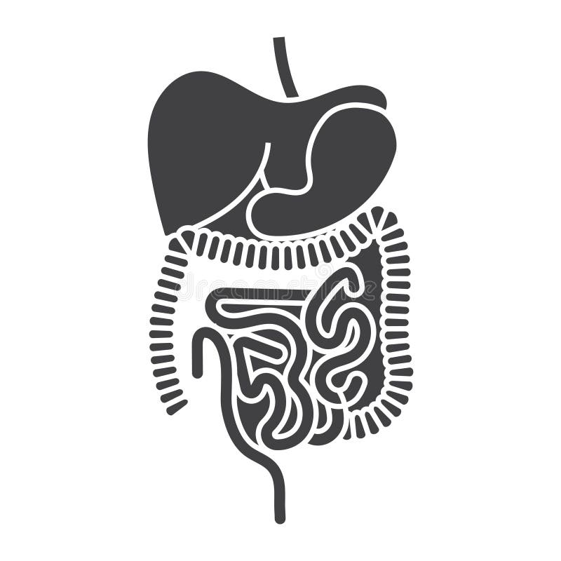 Human Digestive System Organs Flat Vector Icon for Apps and Websites ...
