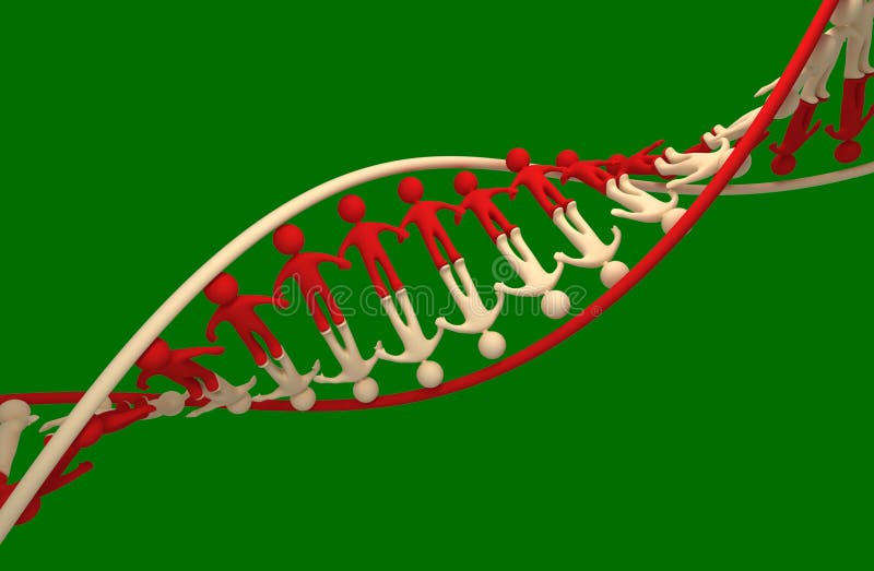 Human DNA stock illustration. Illustration of model, human - 29497384