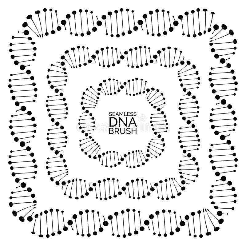 Human Dna Chain or Genome Helix Molecule Seamless Lines Stock Vector ...