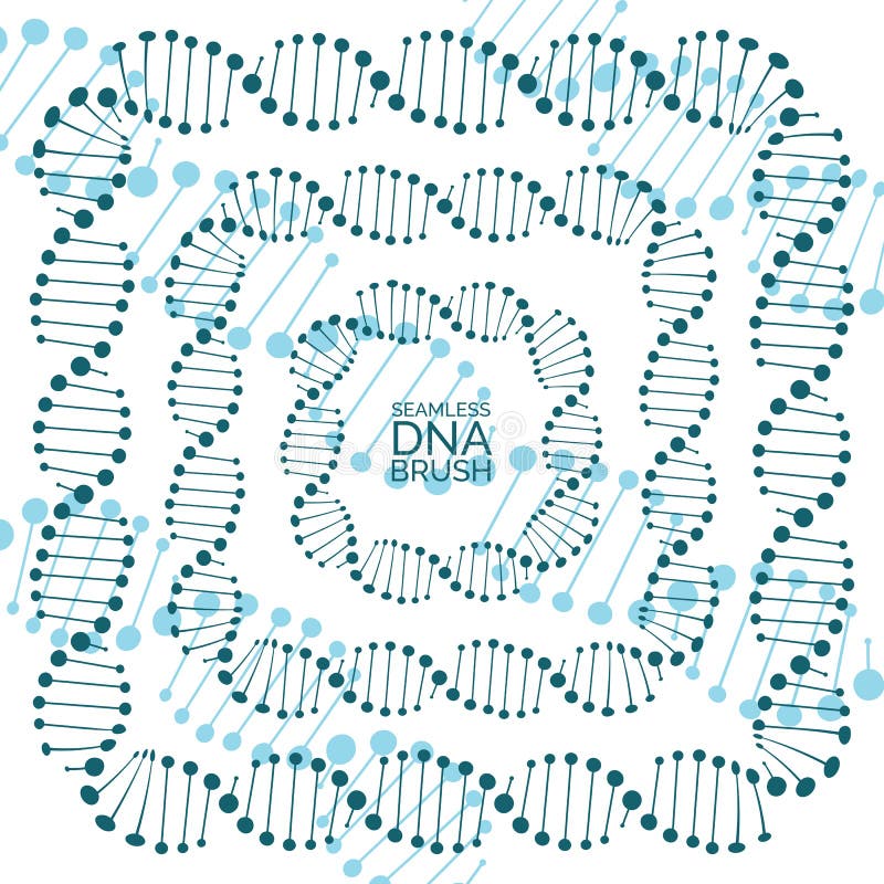 Human Dna Chain or Genome Helix Molecule Seamless Lines Stock Vector ...