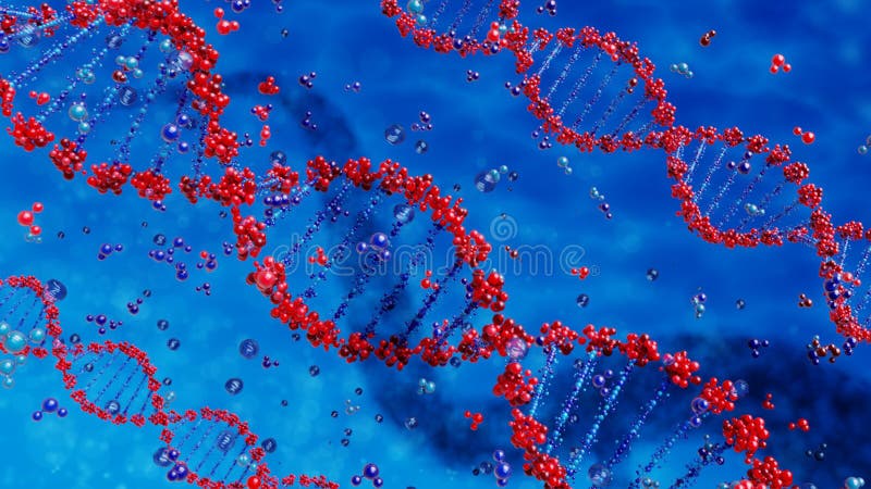 Human Dna Chain. Genome Structure Stock Illustration - Illustration of ...