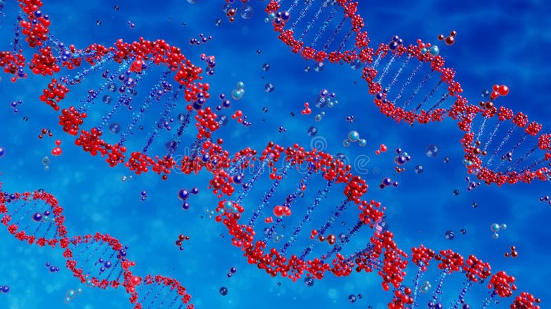 Human Dna Chain. Genome Structure Stock Illustration - Illustration of ...