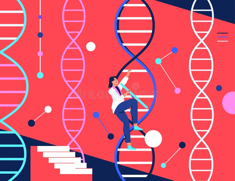 Human DNA, Chromosome Sequence. Character Design. Flat Vector ...
