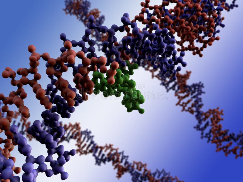 Human DNA close-up stock illustration. Illustration of biology - 163173492