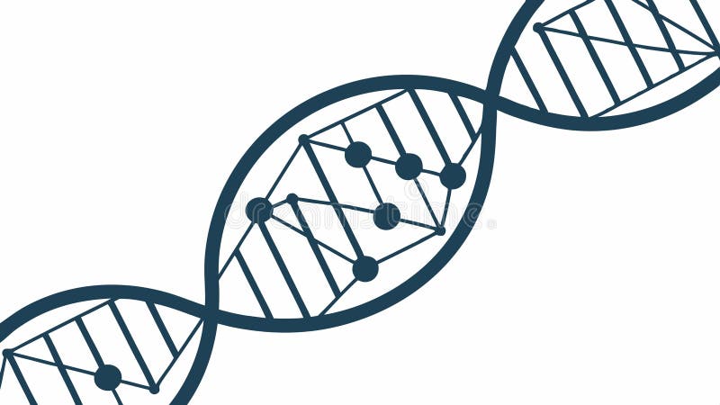 Human DNA Double Helix Genetic Code Vector, Vector Design Generative AI ...