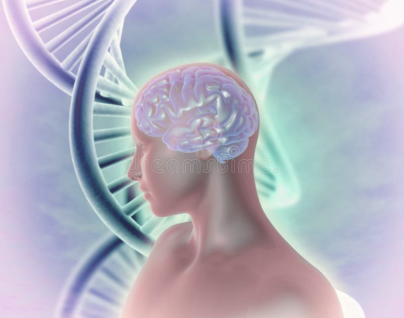 Human Dna Genetic Modifications Abstract Illustration. Stock ...