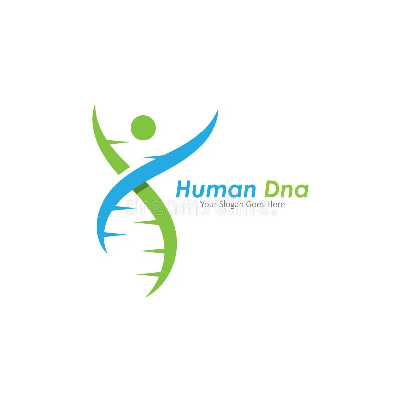 Human DNA And Genetic Logo Design. Stock Vector - Illustration of ...