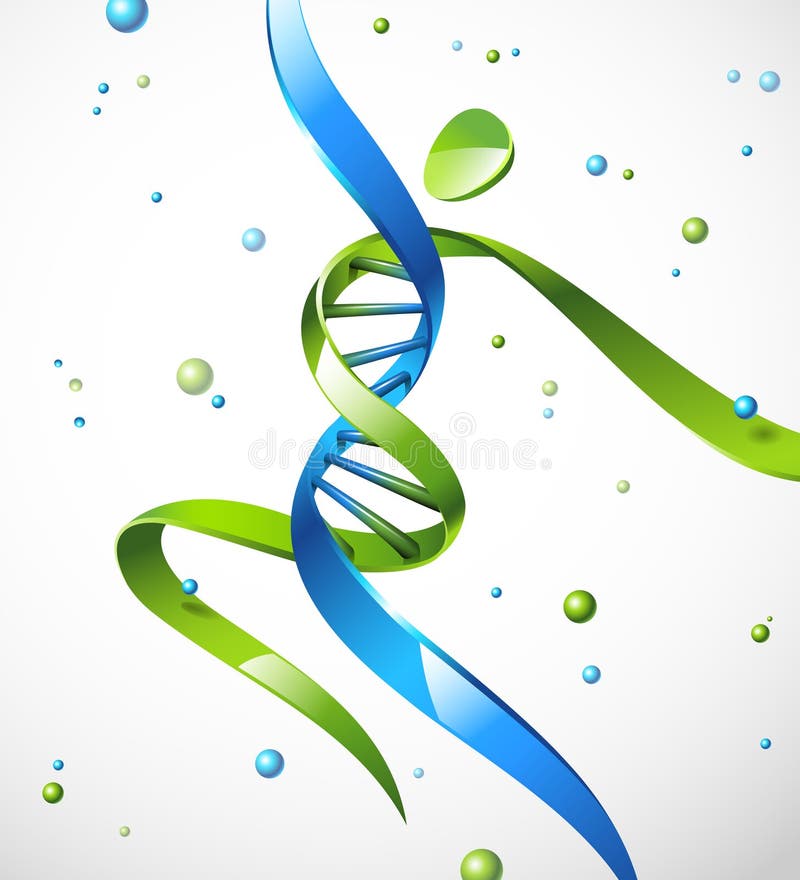 Human DNA illustration stock vector. Illustration of gene - 31217193