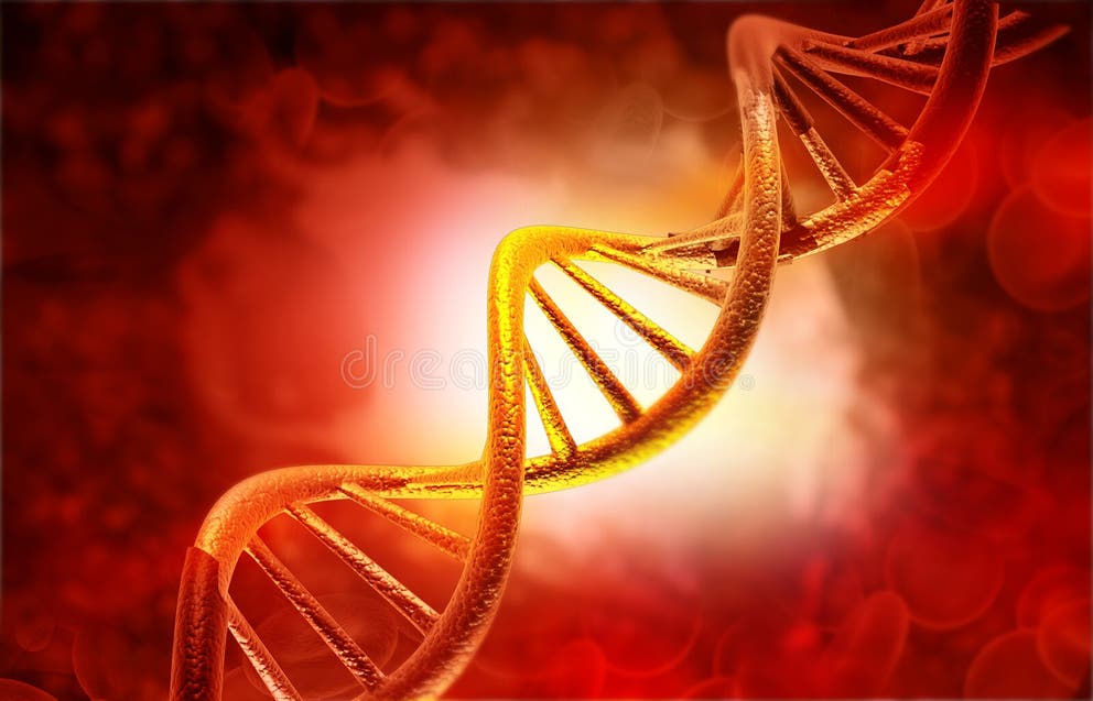 Human DNA stock illustration. Illustration of medical - 296012325