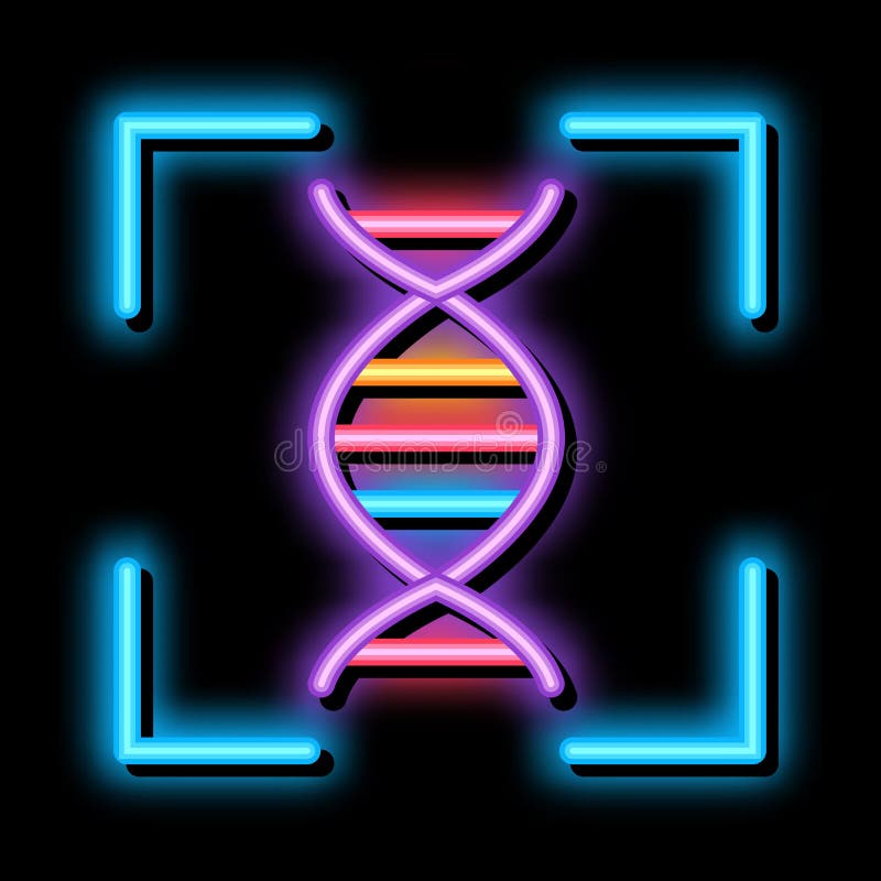 Human DNA Testing Neon Glow Icon Illustration Stock Vector ...