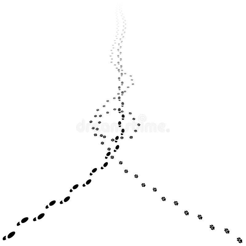 140+ Tracks walking Free Stock Photos - StockFreeImages